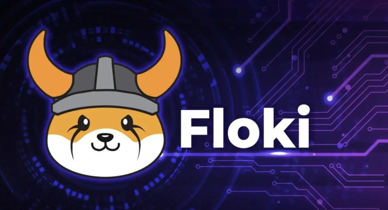 Wat is Floki? Uitleg, technische analyse en koersverwachting voor FLOKI coin! - Blockchain Stories